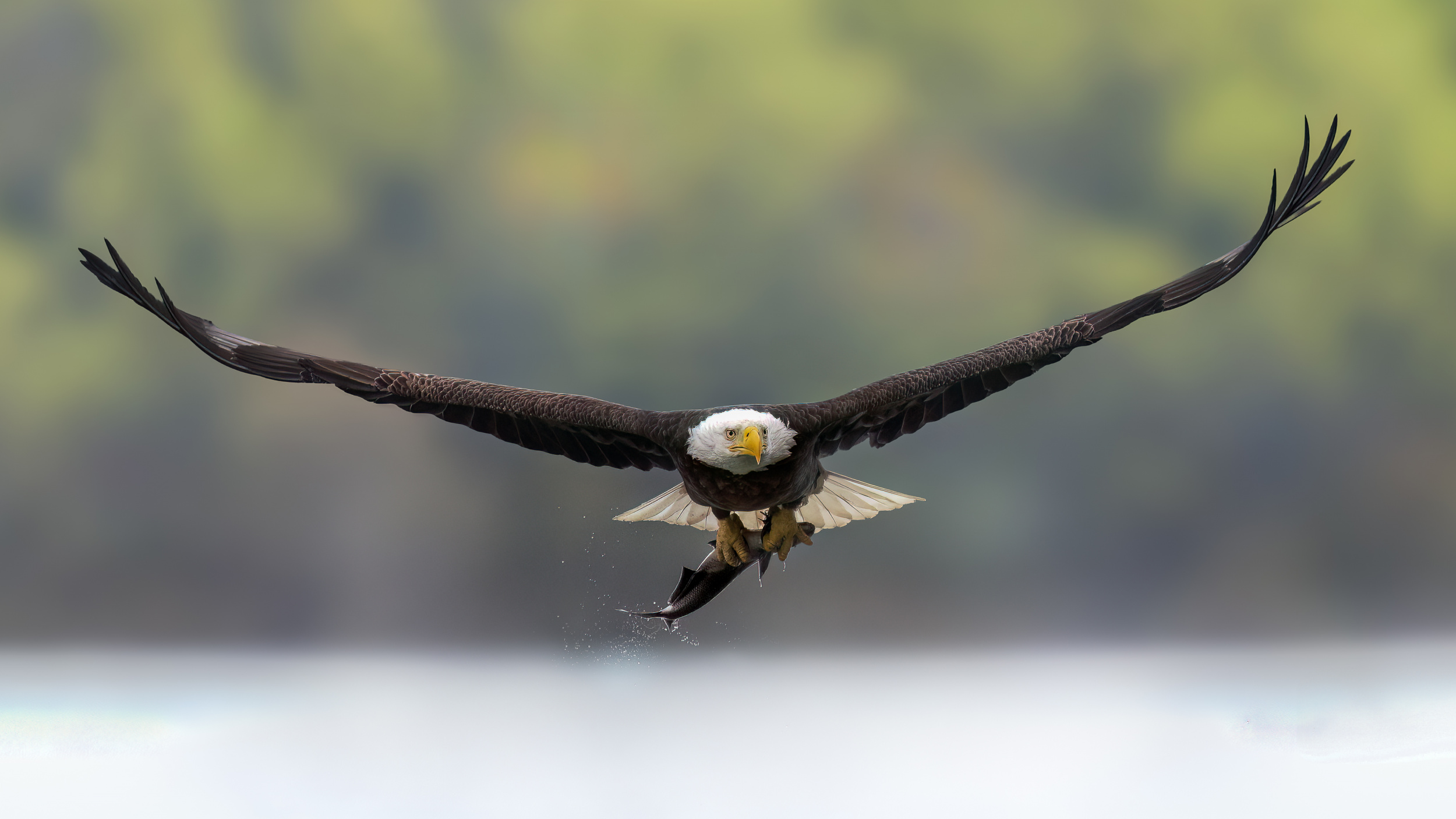 Portrait :) by Bill X. Liu