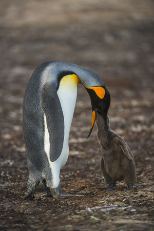 1x - miquel angel artús illana - Latest photos