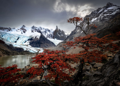 Autumn at Cerro Torre by Nancy Mu