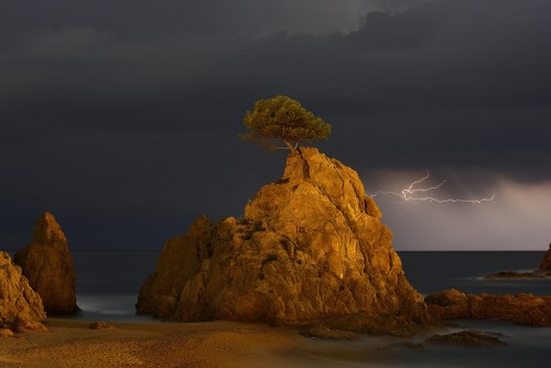 1x - miquel angel artús illana - Latest photos