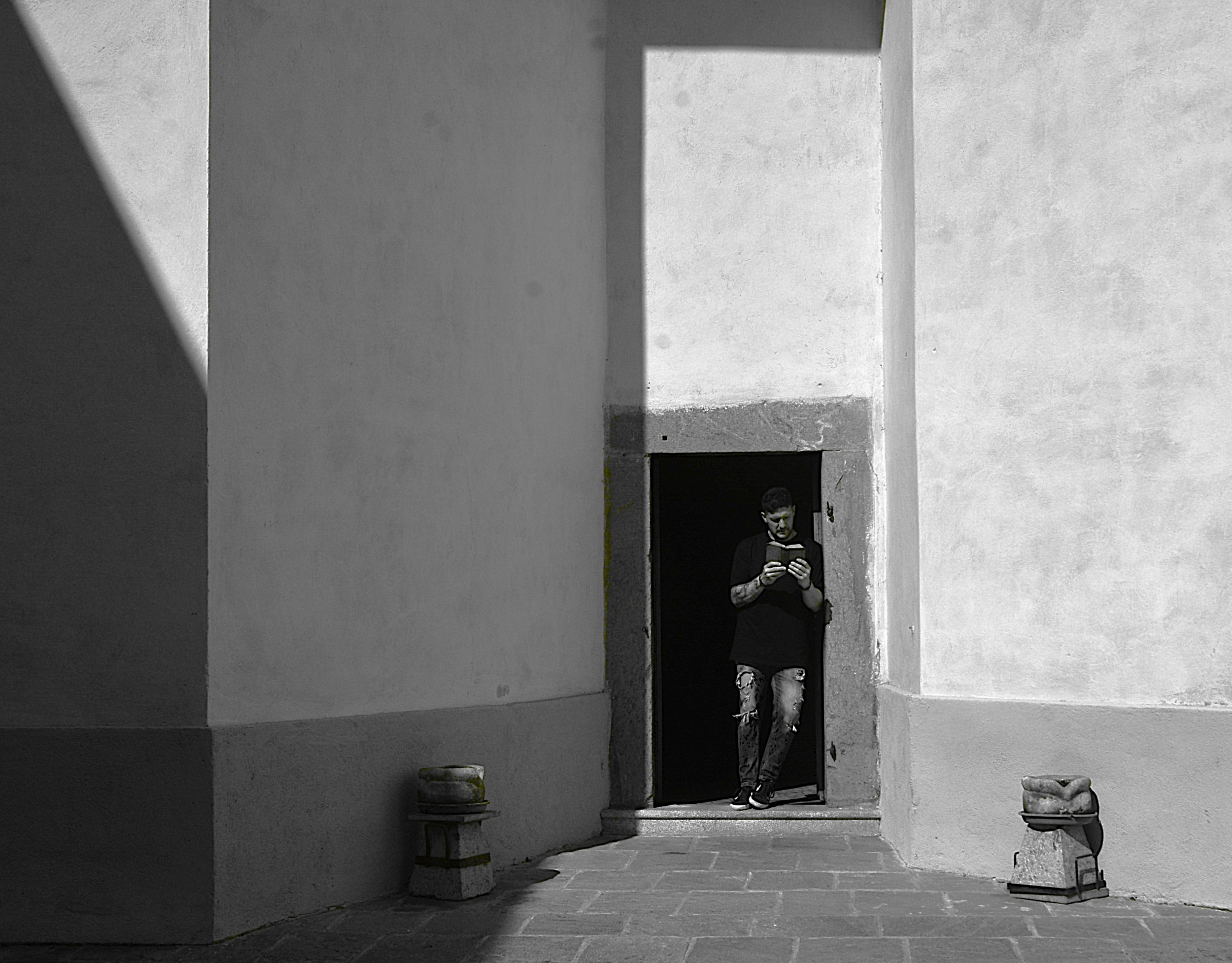 the reader. by stefano longhi