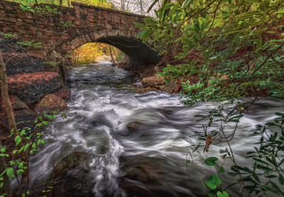 Laurel Bridge by Sam Wilds