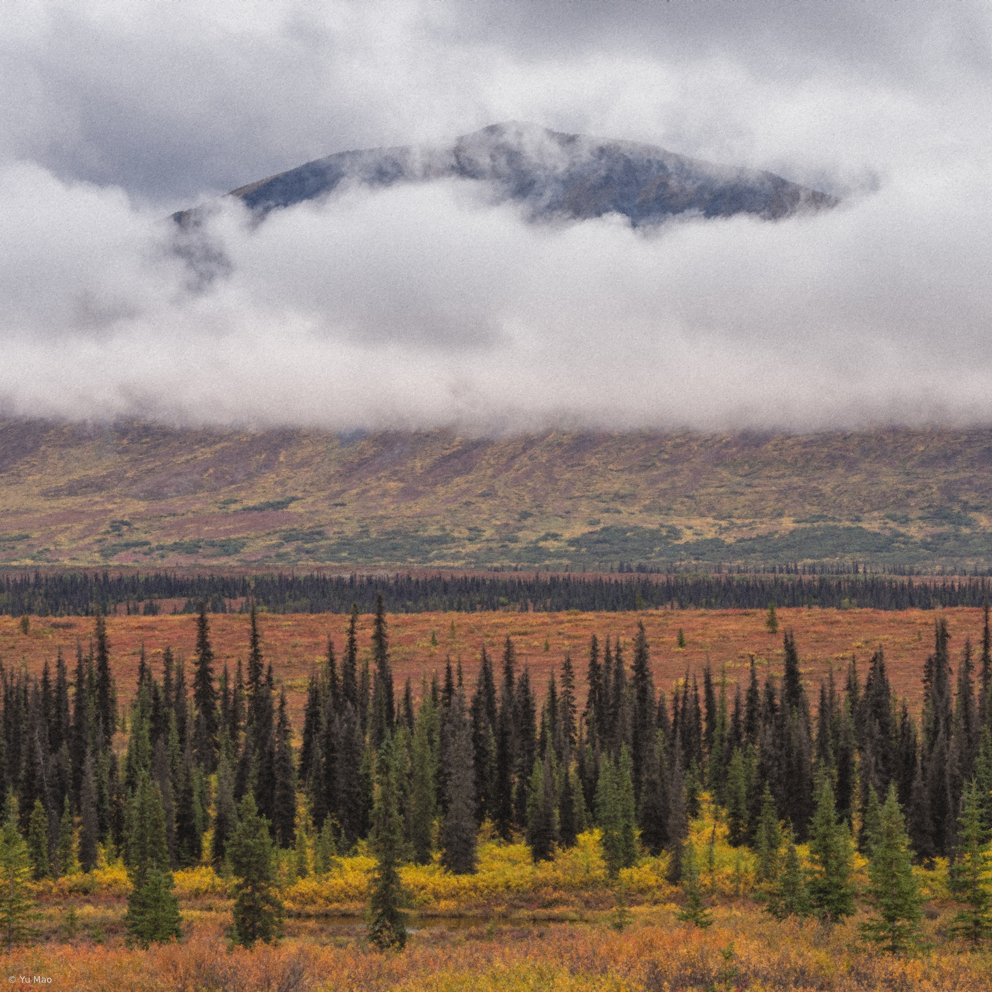 Autumn Color by Yu Mao