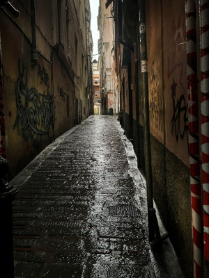 Rainy Day Alley by Ronald Scott Johnson