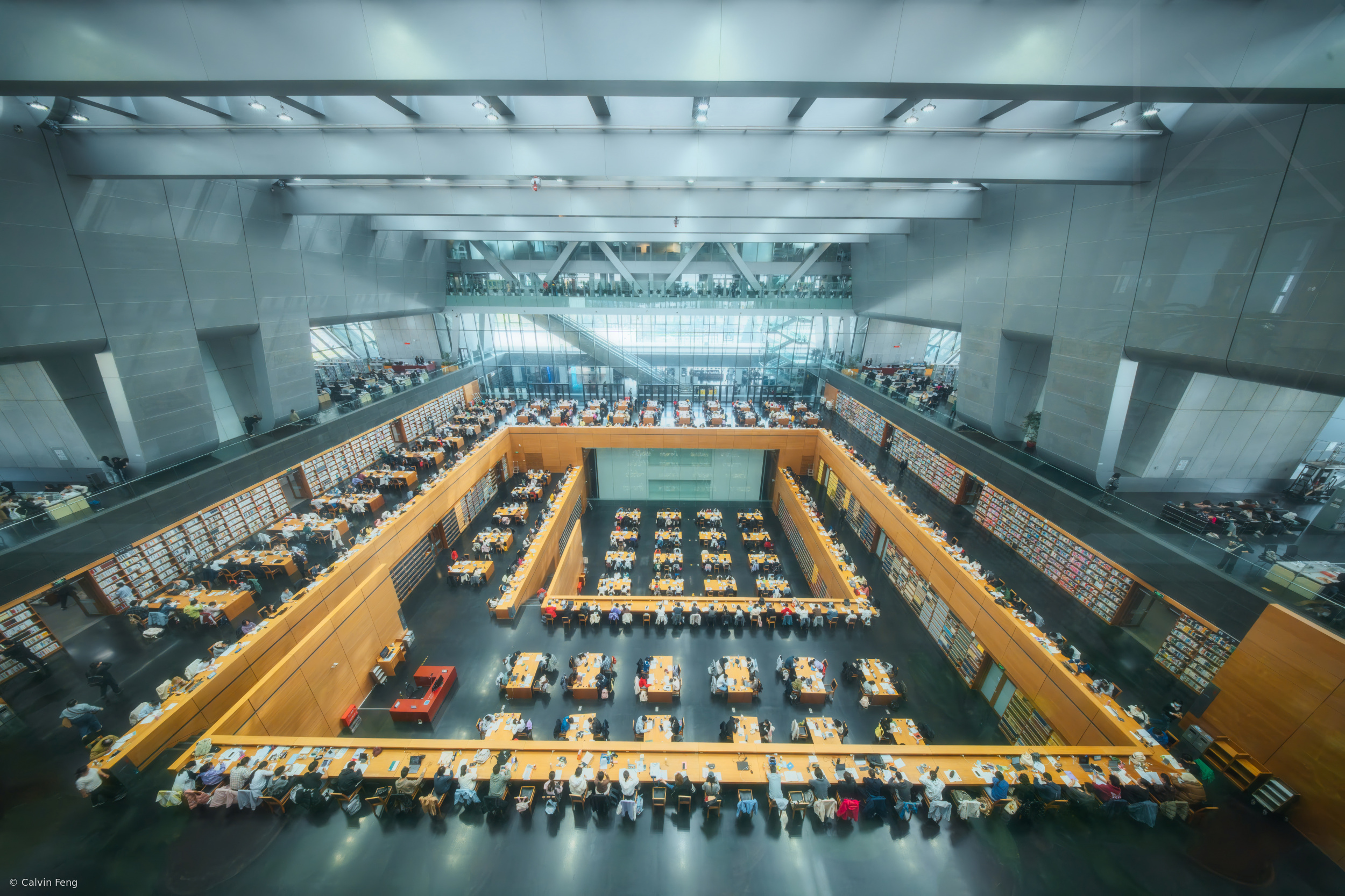 Library by Calvin Feng