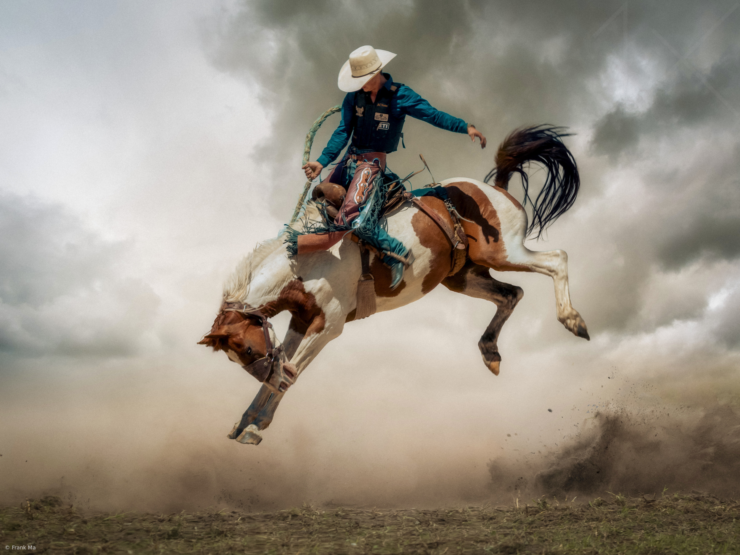 Untamed Ascent by Frank Ma