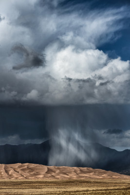 Untitled by Sam Wilds