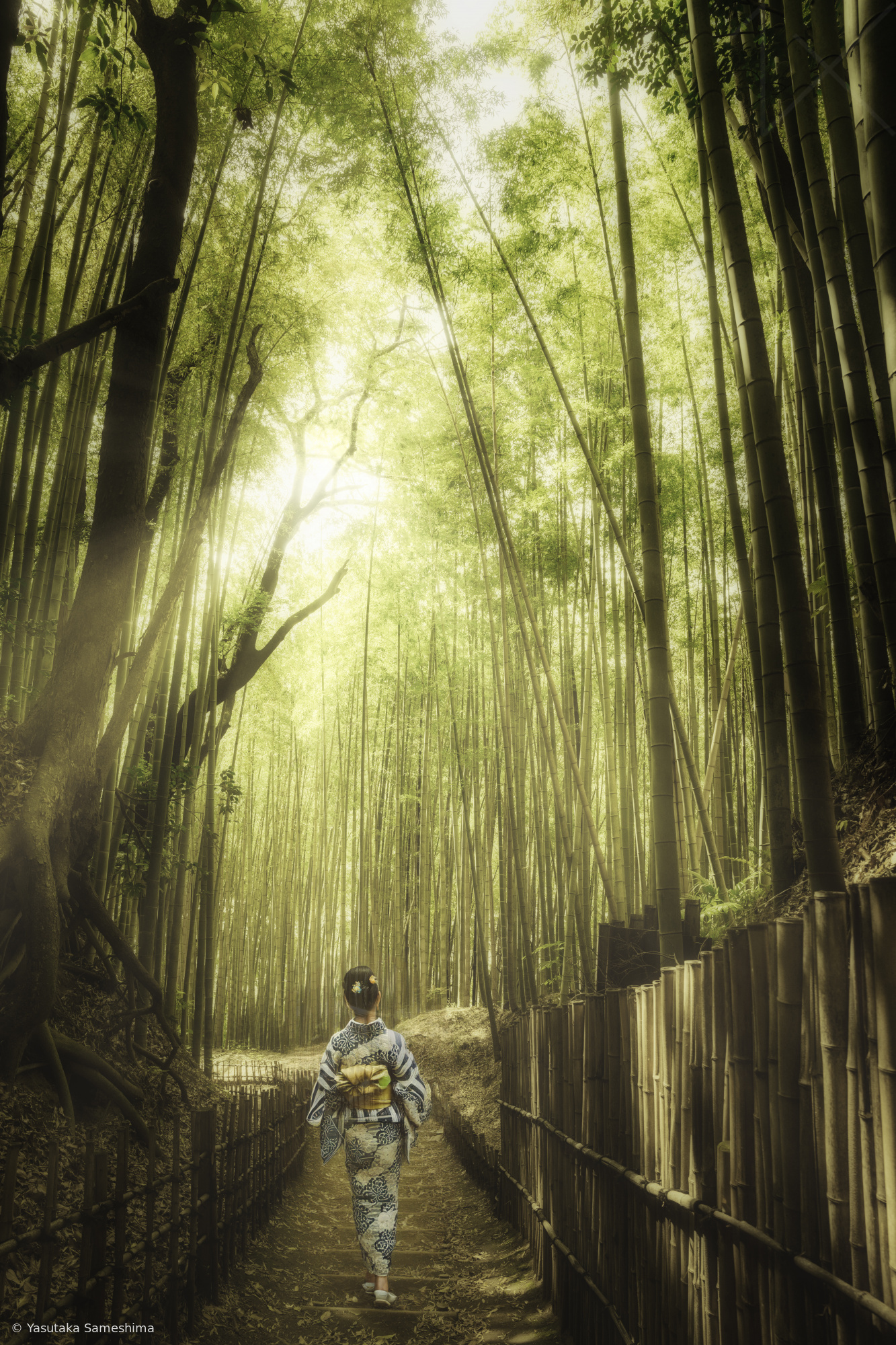 Stage REM ~The scent of powder in the Bamboo forest ~ by Yasutaka Sameshima