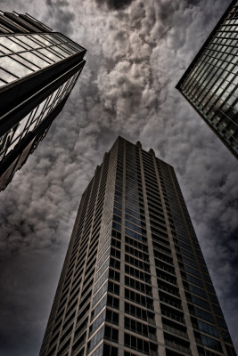 Tokyo by Ryuta Suzuki