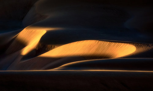 1x - Latest additions