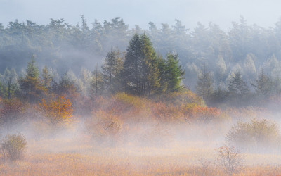 Beginning of autumn by Ryohei Irie