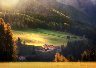 Autumn Splendor by Leechee Z