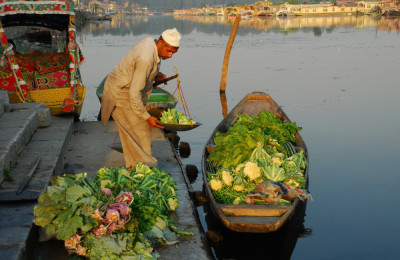 Vegetable Seller by Subhash Sapru