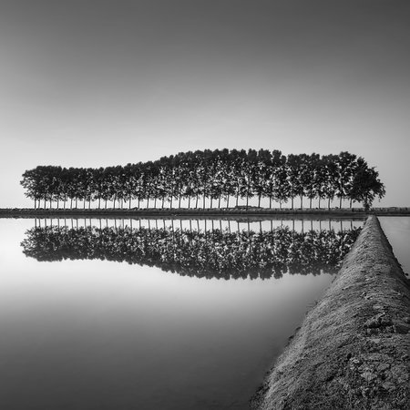 Rice Field by Alberto Bresciani