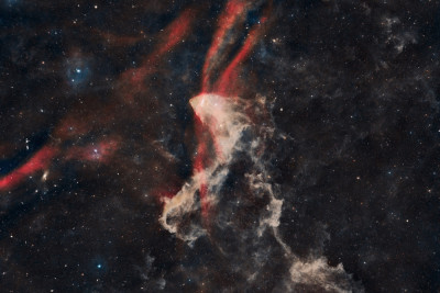 The Gecko Nebula by Vikas Chander