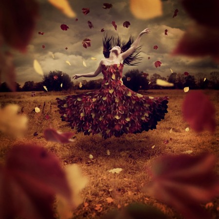 dance of leaves by A. S.