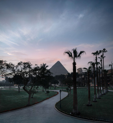 Morning in Giza by Nancy Mu
