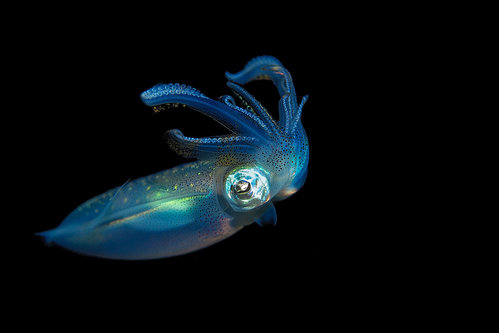 colours at night III by Walter Lackner