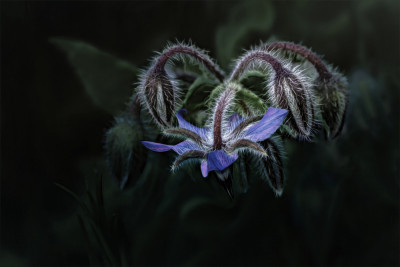 The very first one... by Gilbert Claes