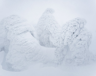 Ice monster by Ryohei Irie