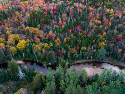 Cool in autumn by HuongHoang