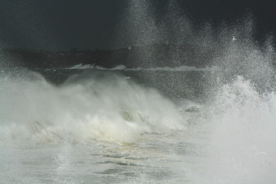 The waves flew like birds. by Isabel Guzman