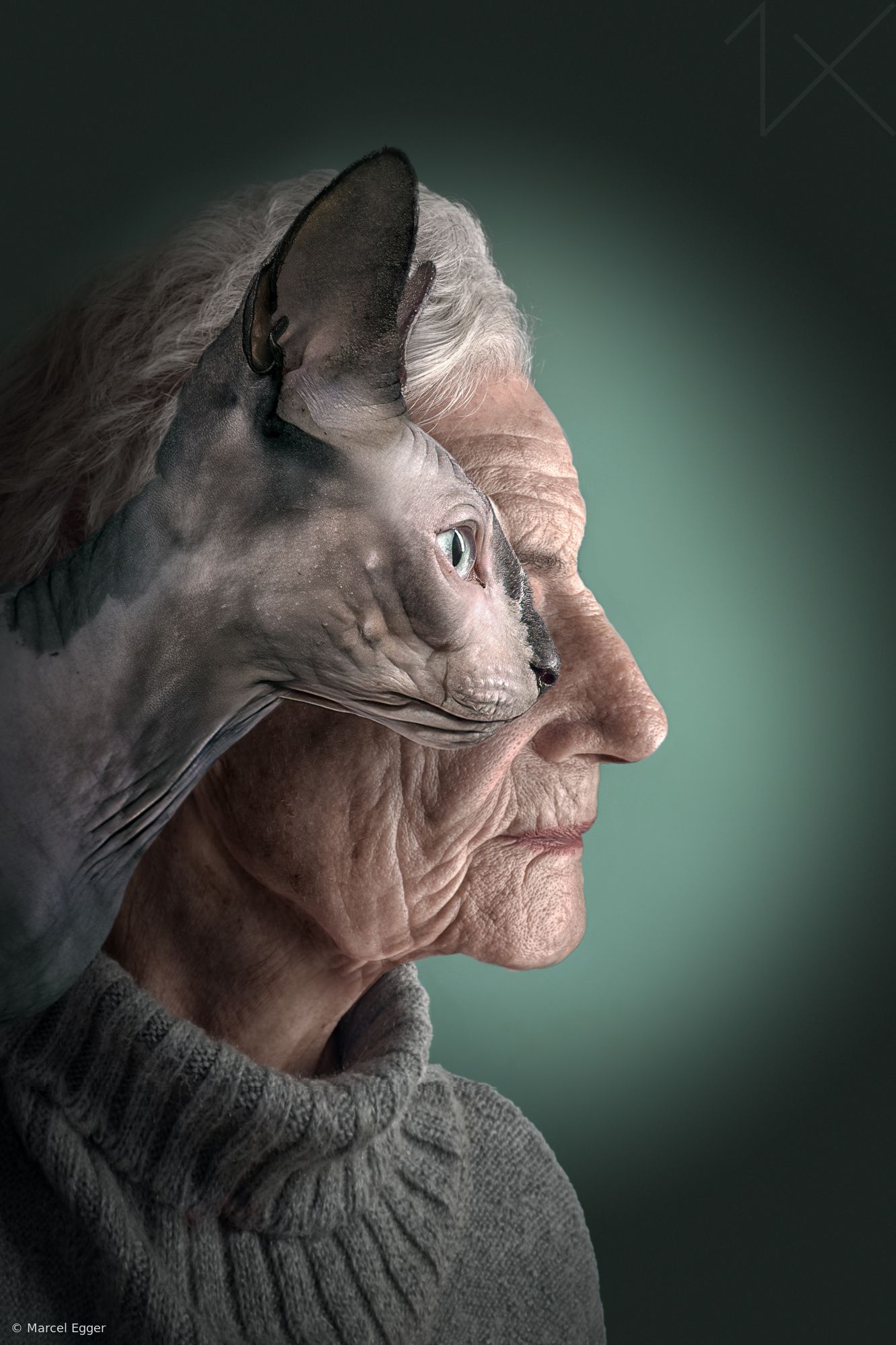 OldFriends by Marcel Egger