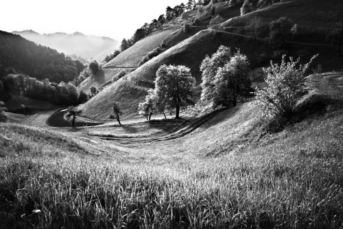 landscape BW by yanka