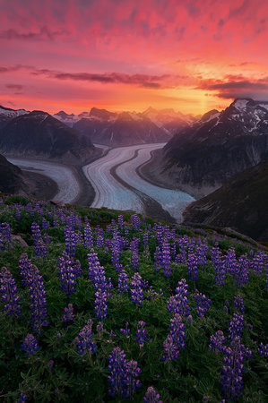 Above and Beyond by Yiming Hu