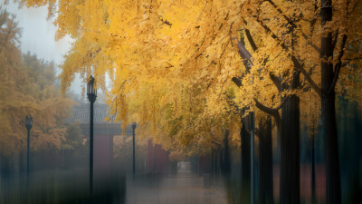 The Autumn in Beijing by Calvin Feng