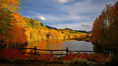 Color burst by verdon