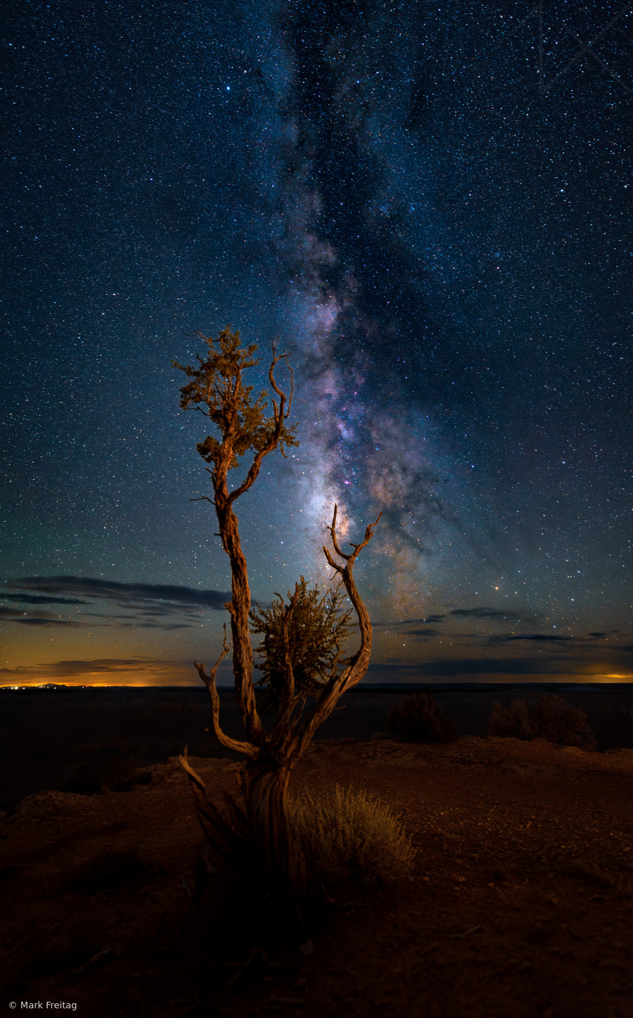 Salute by Mark Freitag