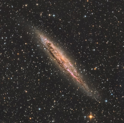 NGC 4945 by Soumyadeep Mukherjee